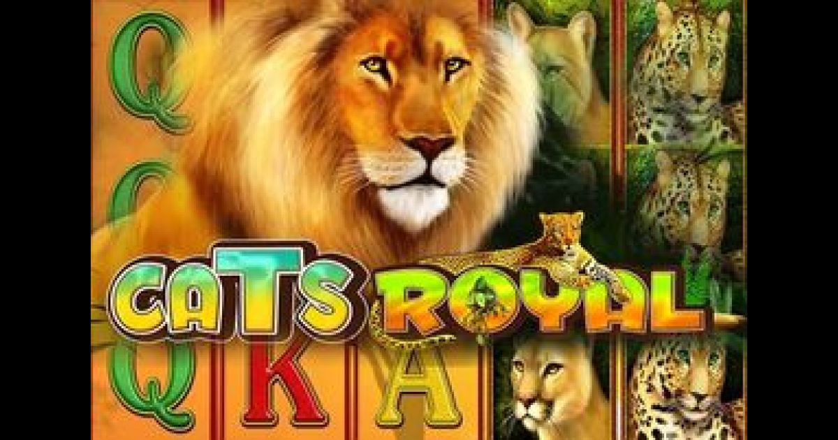 Cats Royal - Free Game ᐈ RTP, strategy and bonuses