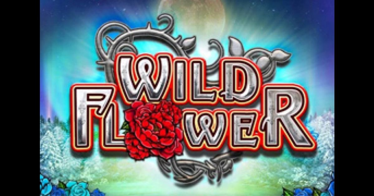 Wild Flower - free game ᐈ RTP, strategy and bonuses